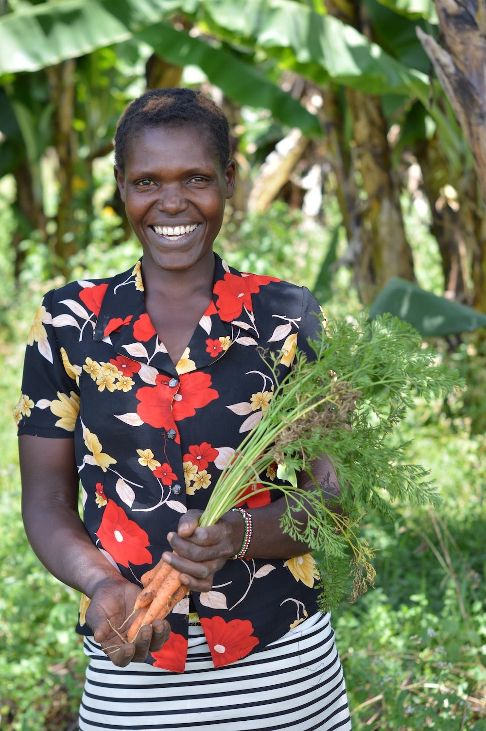 Meet the JusTeam – JUSTEA