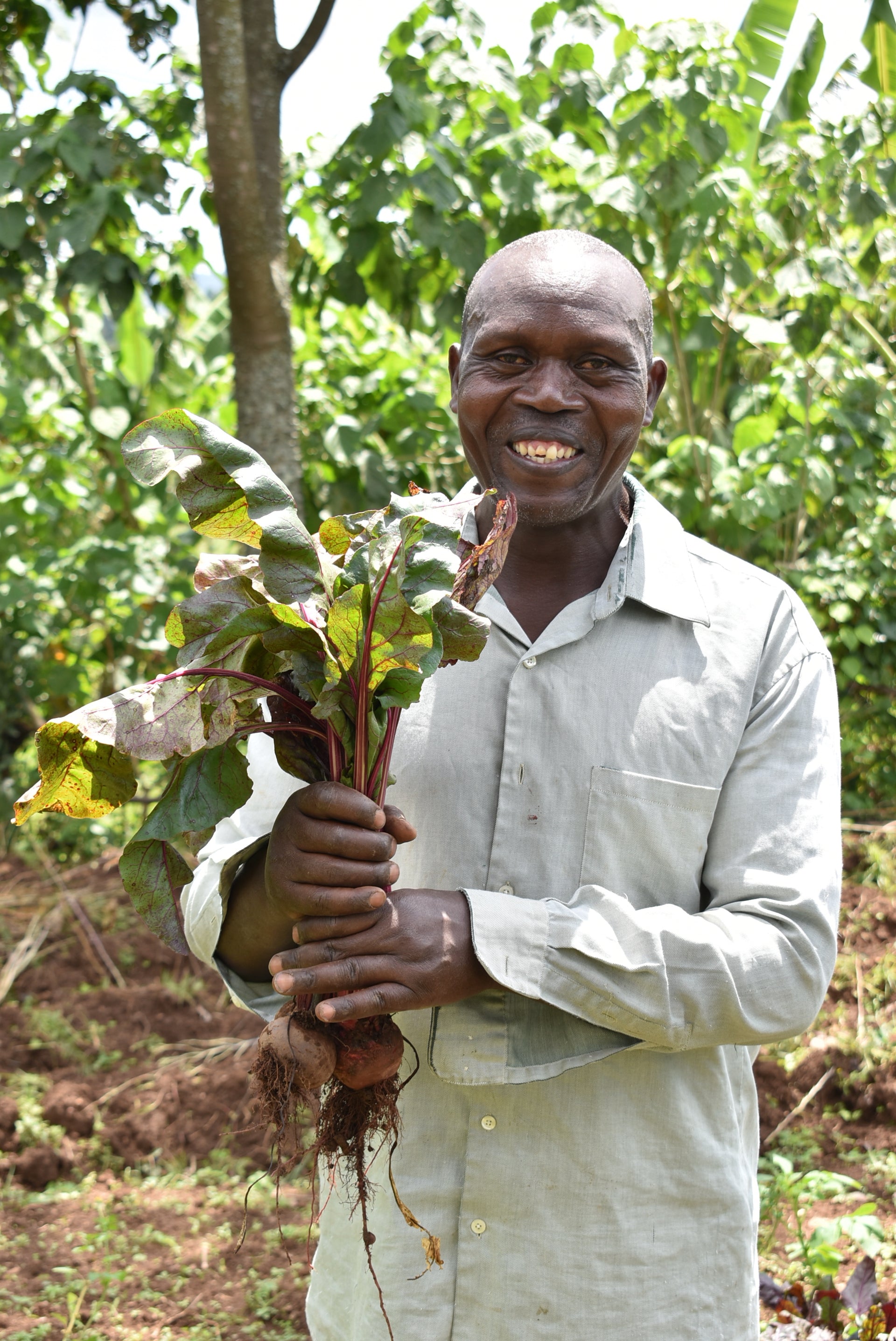 Justly Made Story – JUSTEA