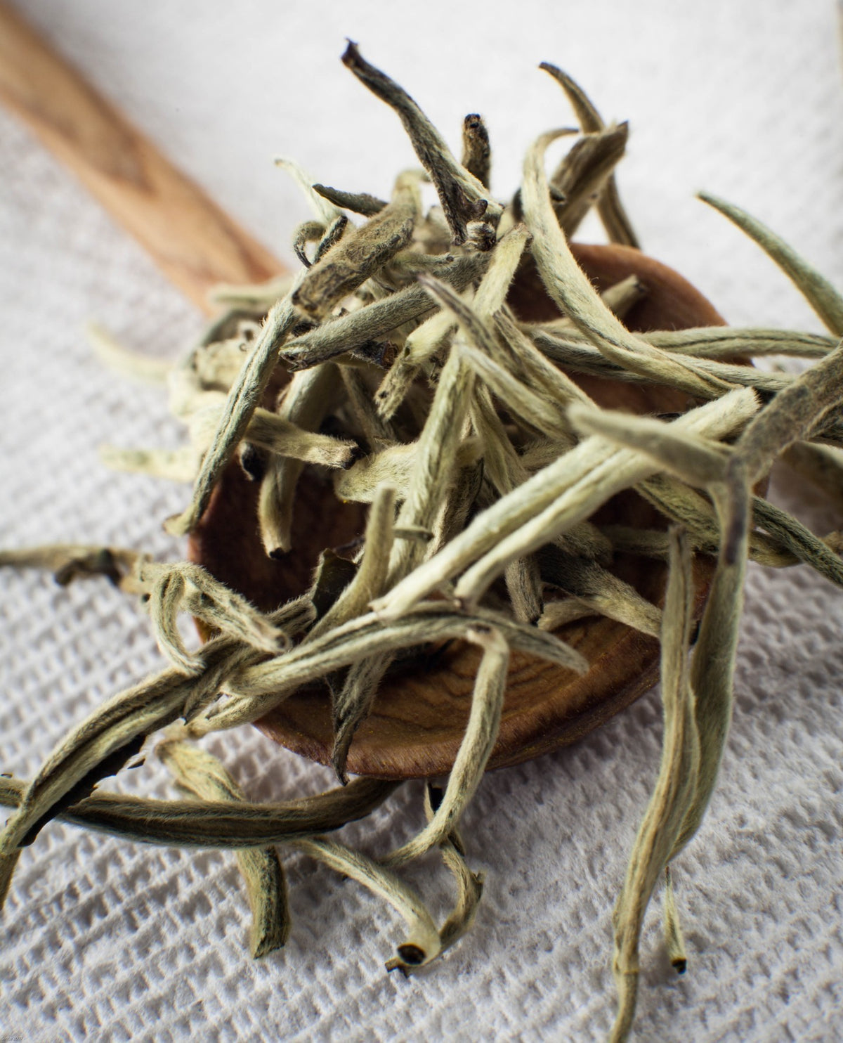 Kenya White Rhino - Loose Leaf Tea | JusTea – JUSTEA