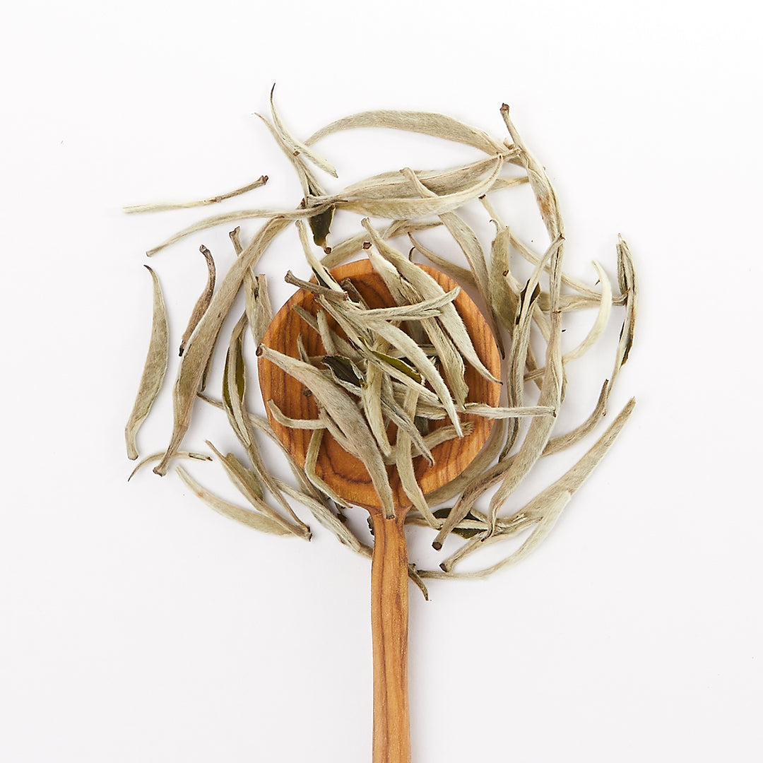 White Tea – JUSTEA